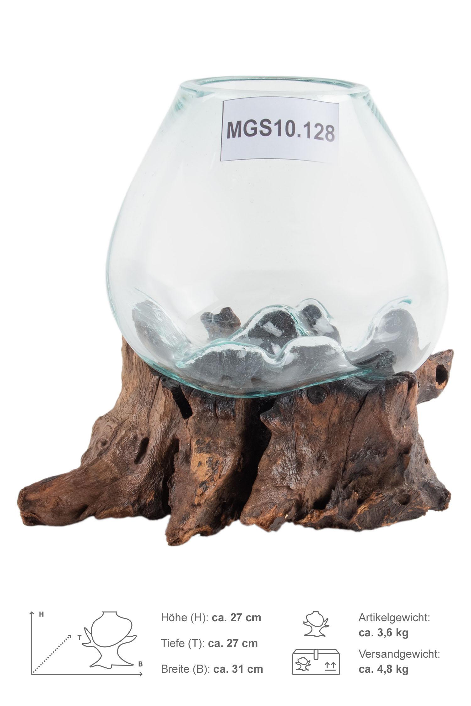 Wurzel Mit Glas Xxl